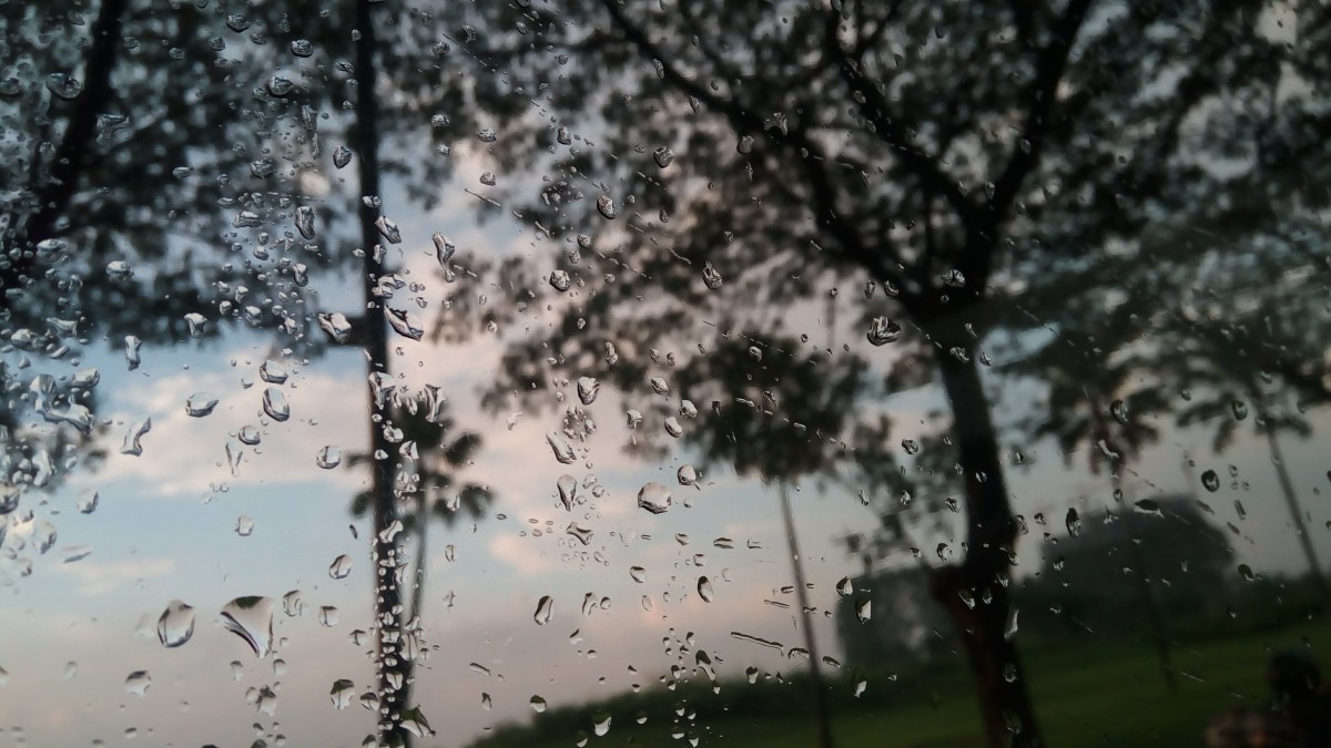 Hujan Pagi – Poetry Prairie